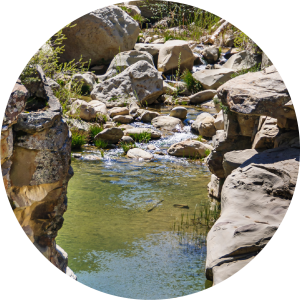 Matilija Dam Restoration Project